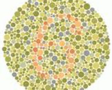 Renk Körlüğü Testi 5